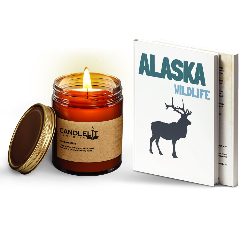 Alaska Candle and Journal Set – Candlelit Memories